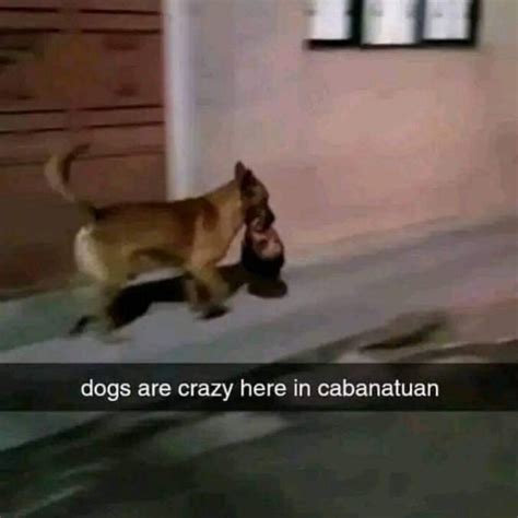 Ccd Meme By Azurath Memedroid