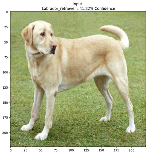 Adversarial Example Using Fgsm Tensorflow Core