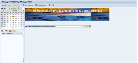 Ptmw Worklist Sap Tcode Process Messages
