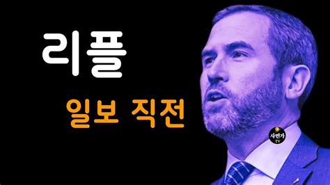 필독 리플 투자자 보세요 일보 직전 Youtube