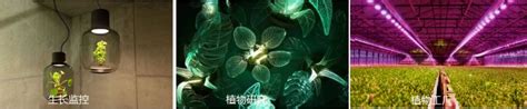 Pla 30植物光照分析仪