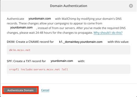 How To Authenticate Your Domain With Mailchimp The Efficiency Hub