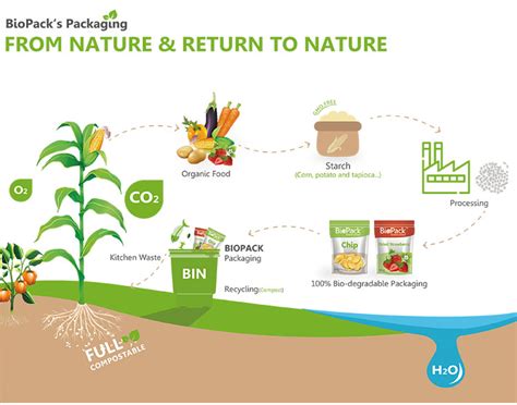 Tear Notch Resealable Ziplock 100 Custom Compostable Packaging For