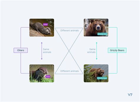 Annotated Text Dataset