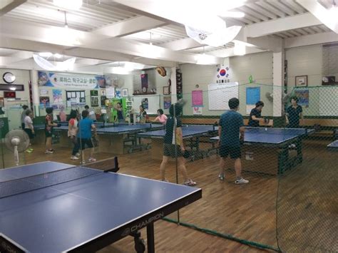 로하스탁구교실클럽 경기도 광주시 오포읍 탁구장 당근 동네 업체 로하스탁구교실클럽 경기도 광주시 오포읍 탁구장 당근 동네 업체