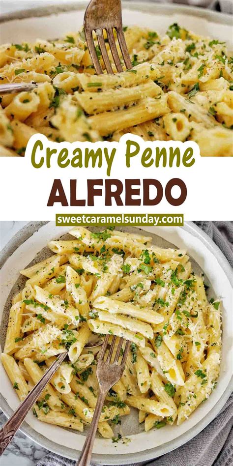 Penne Alfredo Penne Pasta Recipes Creamy Penne Pasta Recipe Pasta