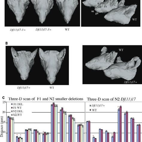 Three Dimensional Craniofacial Scans Top And Side Views Of The Download Scientific Diagram