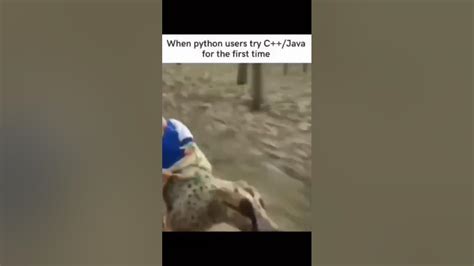 Shorts Shortvideo Short Coding Codingmeme Memes Memesvideo Youtube