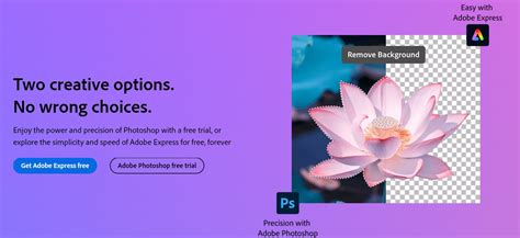 Canva Vs Photoshop Pro Cons And Tips To Make The Best Use