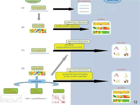 Methods For Protein Structure Prediction Ppt