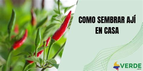 Cultivos De Peces En Colombia Colombia Verde