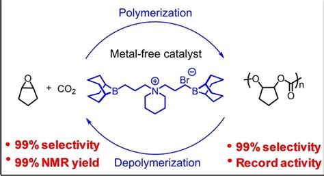 Highly Selective Preparation And Depolymerization Of Chemically