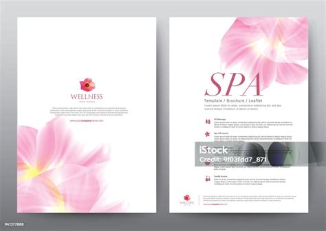 레이아웃 템플릿 요소 스파 호텔 리조트 화장품 브로셔 포스터 전단지 전단지에 대 한 프레 젠 테이 션 평면 벡터 일러스트 레이 션 디자인 상품권에 대한 스톡 벡터 아트 및
