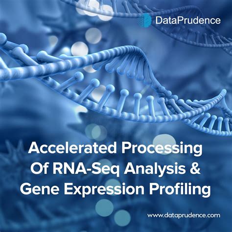Bioinformatics Rnaseq Datascience Research Gpucomputing… Dataprudence
