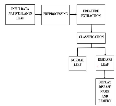 Block Diagram Of Disease Classification Download Scientific Diagram