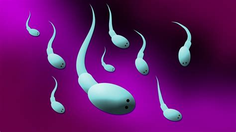 How To Animate Tutorial Swimming Sperm Along Animation In After Effects