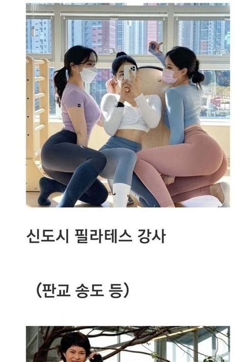 지역별 필라테스 스타일 ‥ 피트니스 바디 패션 사설 필라테스