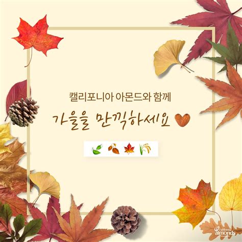 캘리포니아 아몬드 [ Event] 가을 날씨와 단풍을 즐기기 위해 캠핑과 등산 또는 가까운 공원이나