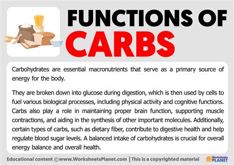 Function Of Carbohydrates