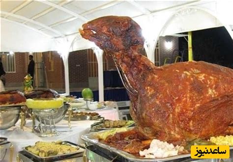 ضیافت پادشاه عربستان برای مهمانانش با سرو 2 شتر کامل با مخلفات و دورچین