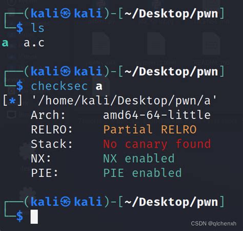 Checksec使用 Csdn博客