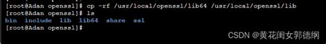 Linux安装python3（超详细）解决can‘t Connect To Url Because The Ssl 的报错yum