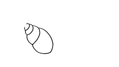 How To Draw Seashells Step By Step Hand Of Art