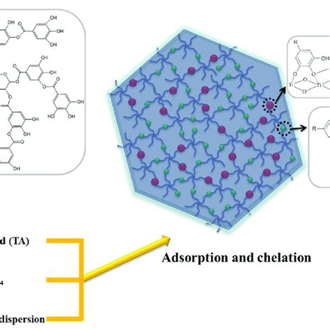Scheme 1 Schematic Illustration For The Synthesis Procedure Of Layered Download Scientific