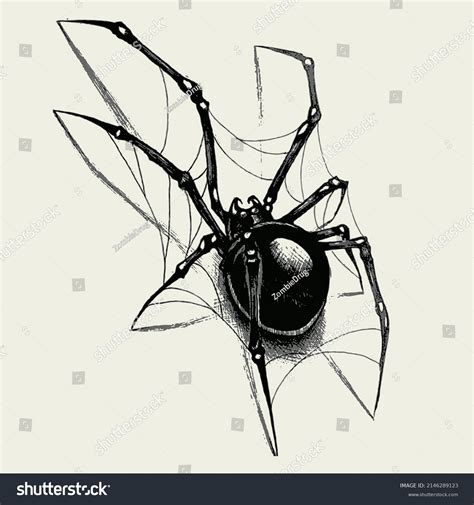 Spider Drawing