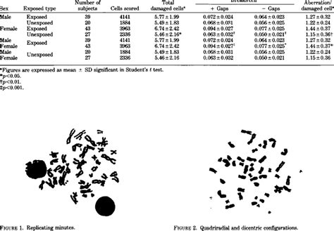 Effect Of Methyl Isocyanate Chromosomal Aberration Related To Sex Download Scientific Diagram