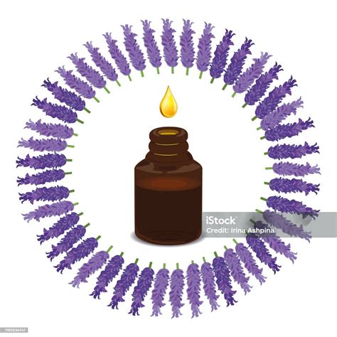 향기로운 오일과 라벤더 꽃 한 병 기름 한 방울 흰색 배경에 격리 벡터 0명에 대한 스톡 벡터 아트 및 기타 이미지 0명 건강 진단 건강관리와 의술 Istock