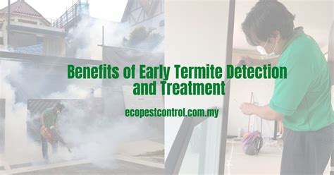 Benefits Of Early Termite Detection And Treatment 2025