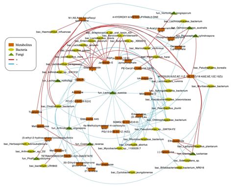 Correlations Network Of Fungi Bacteria And Metabolites The Orange Module Download