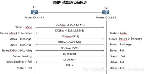 ospf基础内容与网络类型实验 p2p和broadcast会建立邻居关系吗 csdn博客