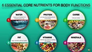 Nutrition Wellness Macronutrients Pptx