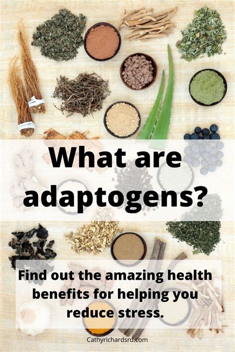 Adaptogens What Are They And The Amazing Health Benefits Cathy