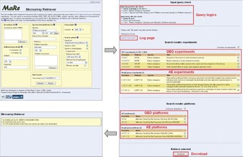 Example Of A Search Search Parameters Are Configured On The First Download Scientific Diagram