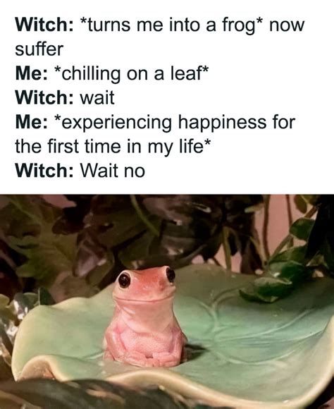 This Twitter Account Has Amassed 2 9m Followers For Sharing Wholesome