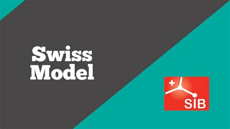Bioinformatics Swiss Model Biocode Ltd Youtube