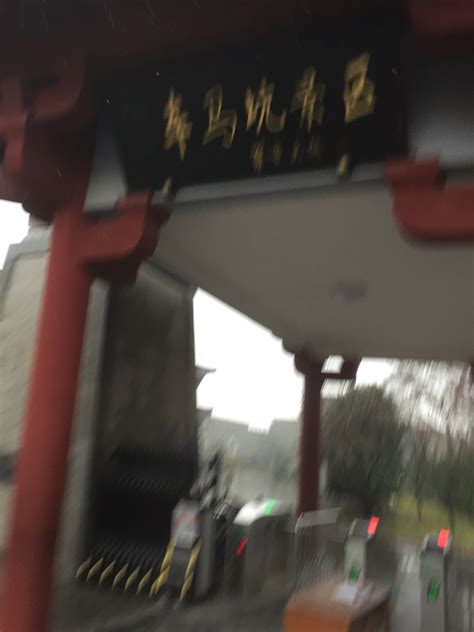 2024郑王陵博物馆游玩攻略 郑王陵博物馆就是车马坑景区 去哪儿攻略