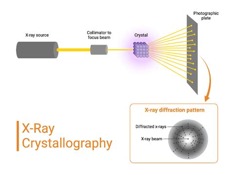 X Ray Crystallography Biorender Science Templates