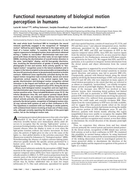 Pdf Functional Neuroanatomy Of Biological Motion Perception In Humans