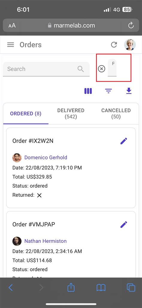 Date Input Component Not Displaying Correctly When View In Mobile
