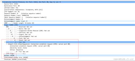 计网实验第三章：tcp