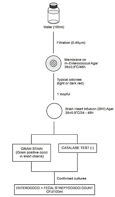 Membrane Filtration Method Aphaawwawef 2005 For Enterococci And Fecal