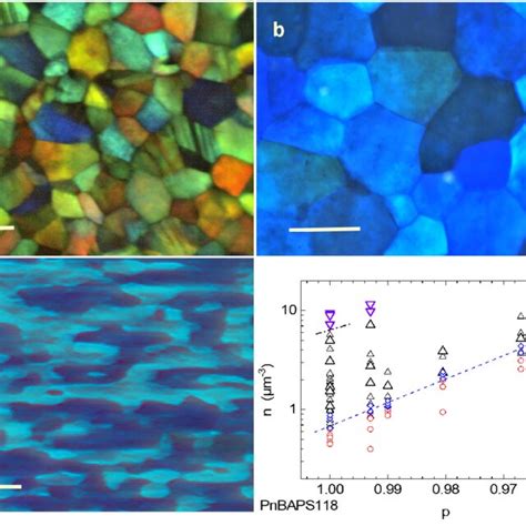 Microstructure And Phase Behaviour Of The Thoroughly Deionized Binary