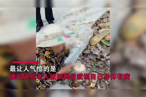 女子的南瓜被村里老人组团来偷，被抓后耍无赖女子崩溃：道德绑架女子南瓜崩溃