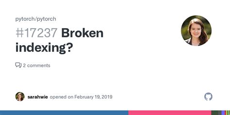 broken indexing · issue 17237 · pytorch pytorch · github