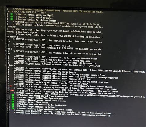Home Assistant Cli Not Starting Jump Into Emergency Console Home Assistant Green Installation
