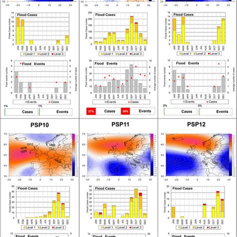 Synoptic Pattern Records Summary Download Scientific Diagram